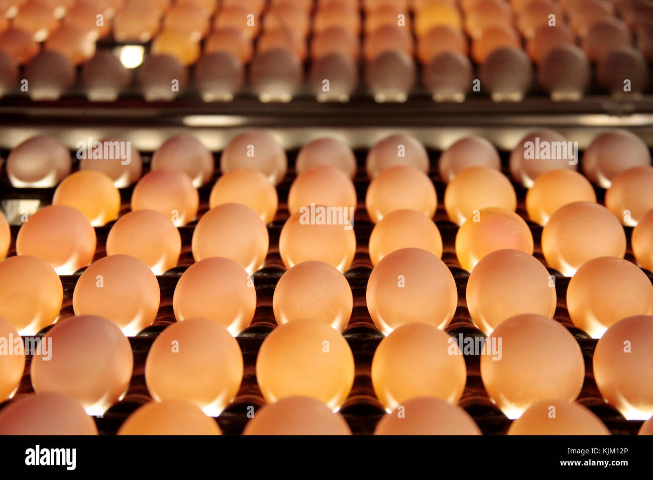 Egg packing machine hi-res stock photography and images - Alamy