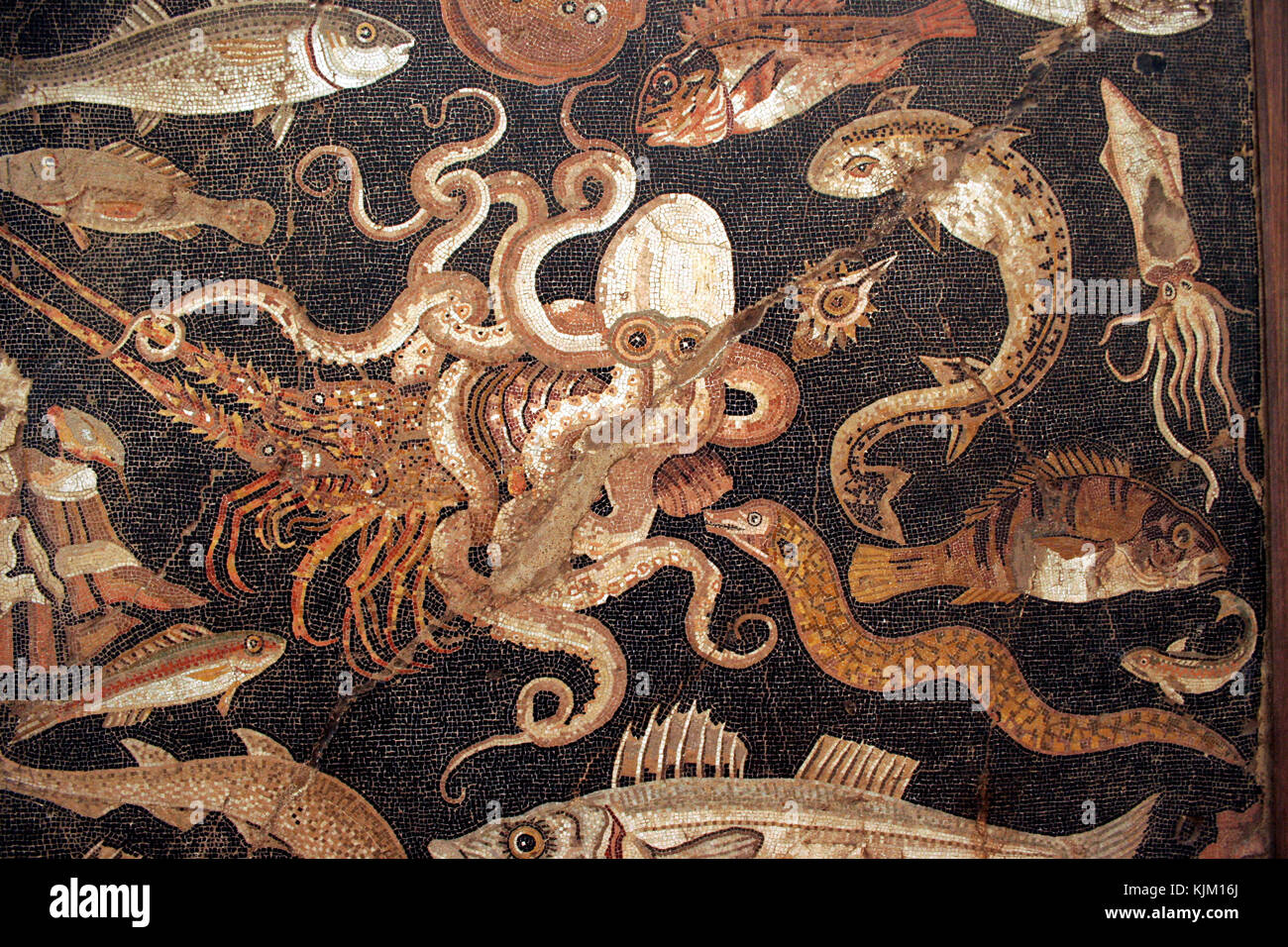 Marine life mosaic, Pompeii, Italy Stock Photo - Alamy