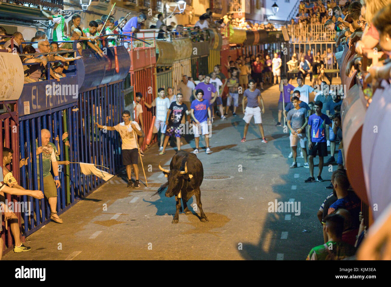 Bull run in the streets hi-res stock photography and images - Alamy