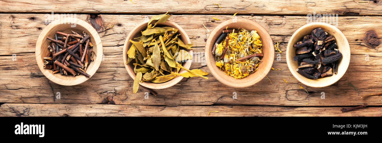 Healing herbs, plants and roots in wooden pots Stock Photo - Alamy