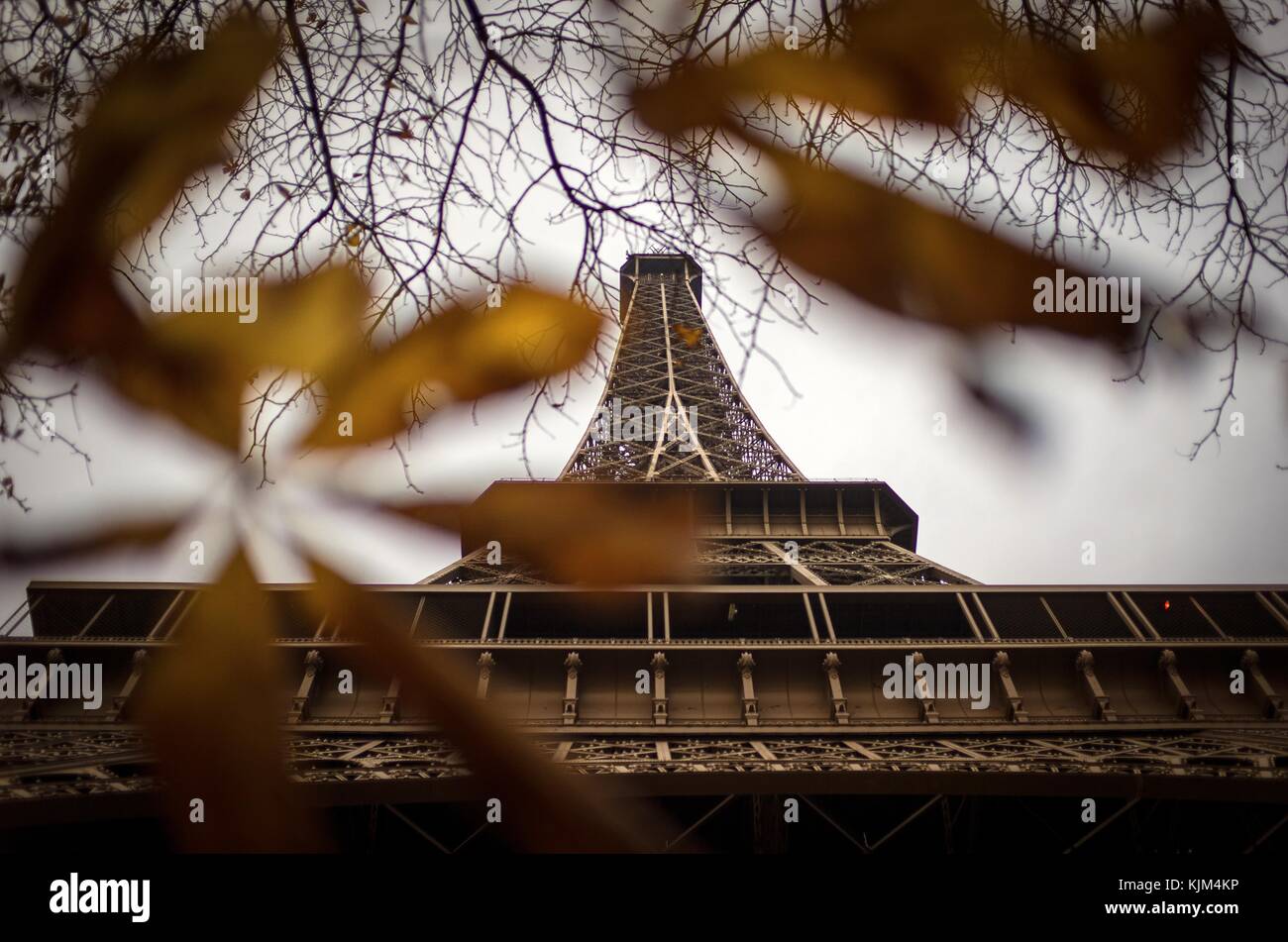Eiffel Tower - 24/11/2012 - - Eiffel Tower - Fall Color at the foot of ...