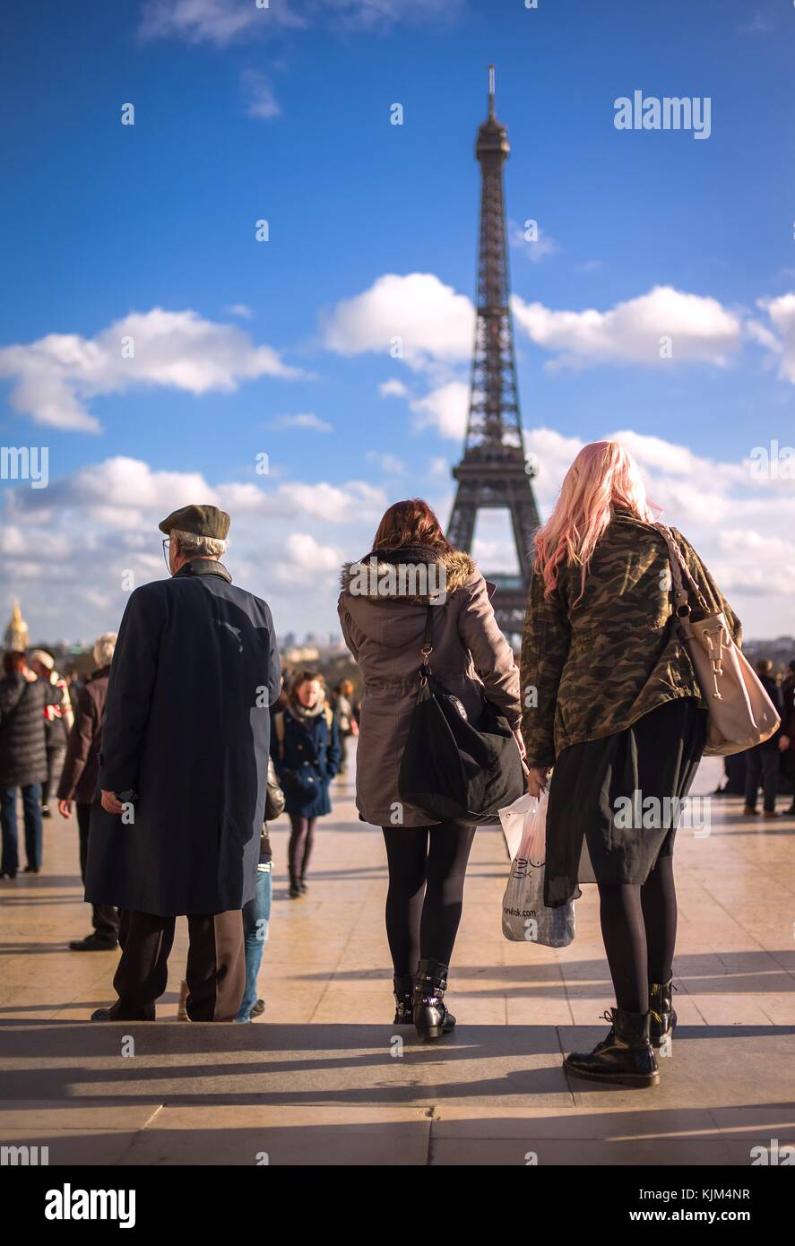 Eiffel Tower - 25/11/2012 - - Eiffel Tower - The iron lady of Paris ...
