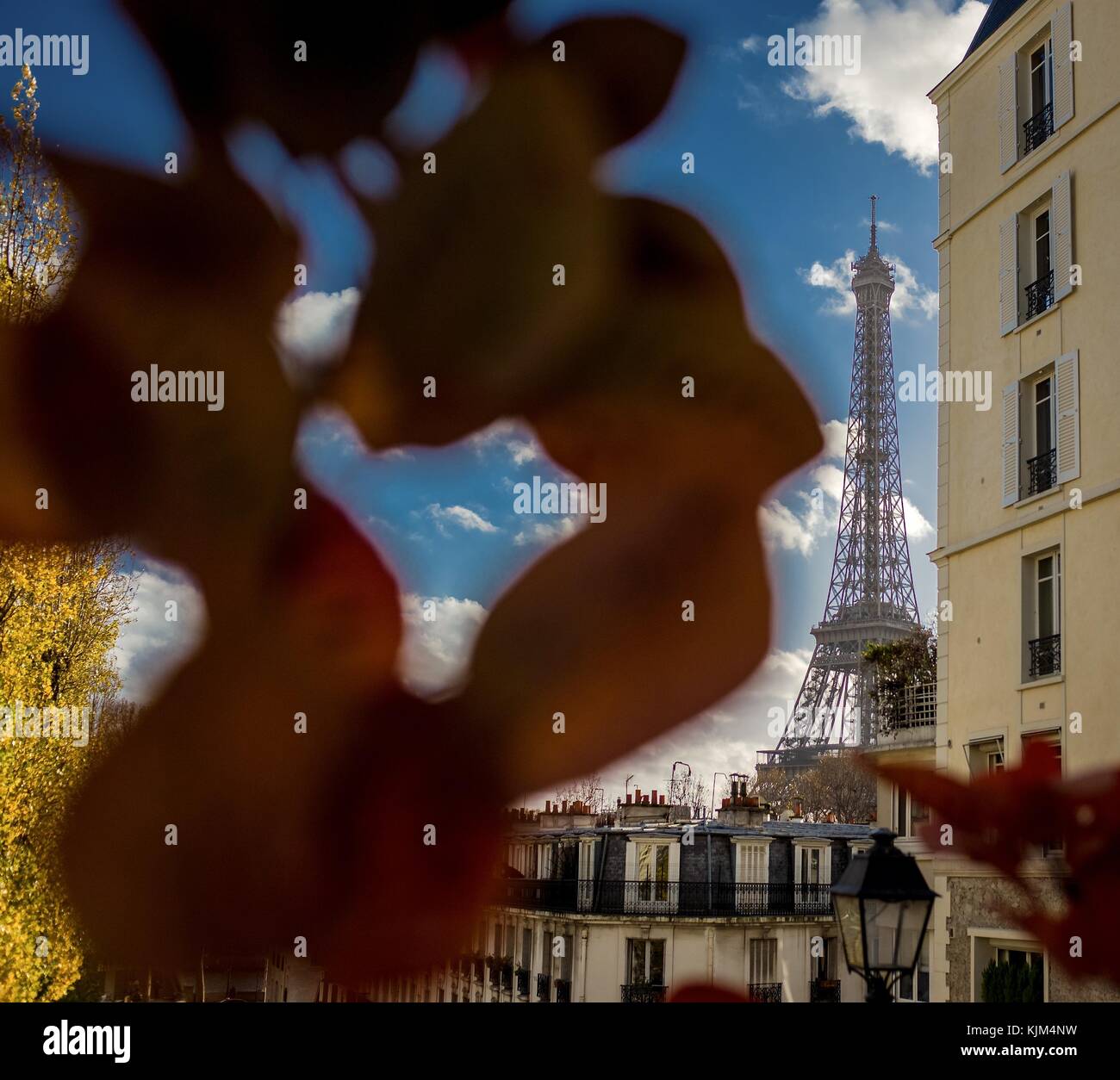 Eiffel Tower - 25/11/2012 - - Eiffel Tower - The iron lady of Paris ...