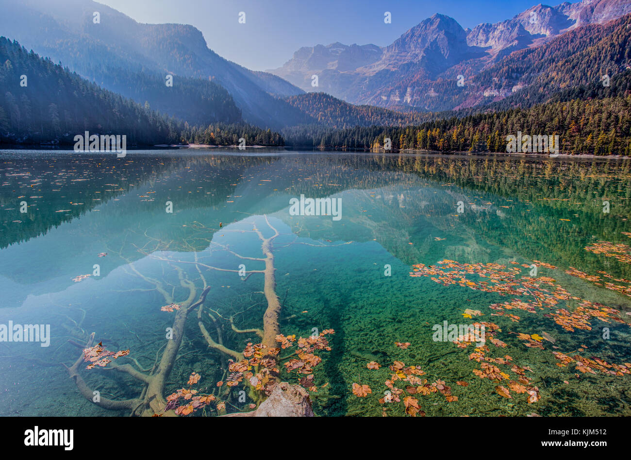 Autumnal view of Tovel lake, Val di Non within the Adamello-Brenta ...