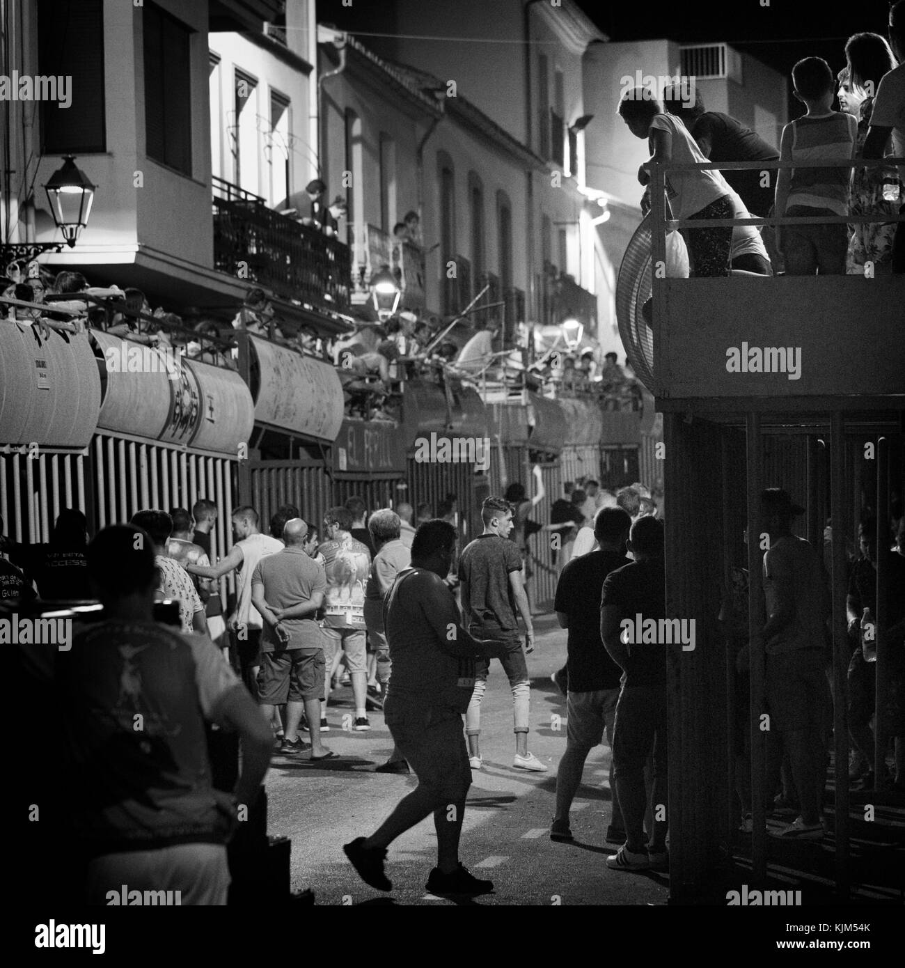 Crazy bull hi-res stock photography and images - Alamy