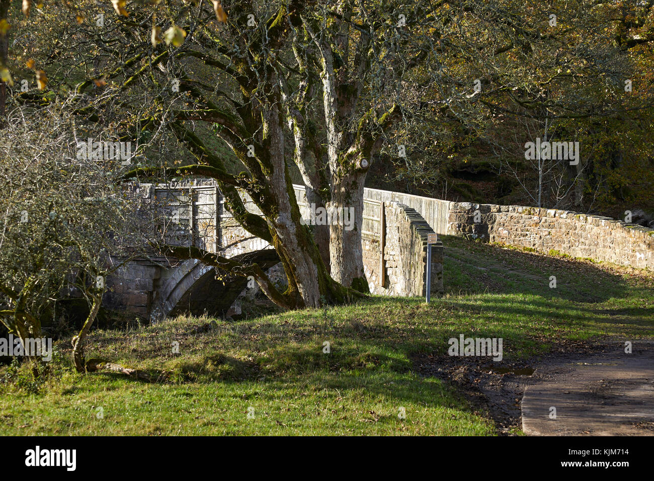 In afternoon autumn sunshine a stone bridge with wooden parapets spans ...