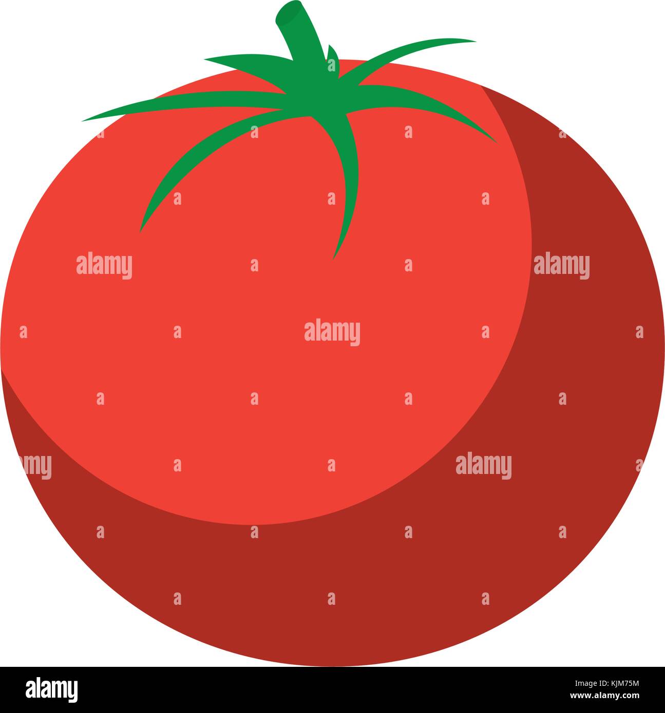 tomato vegetable icon image Stock Vector Image & Art - Alamy
