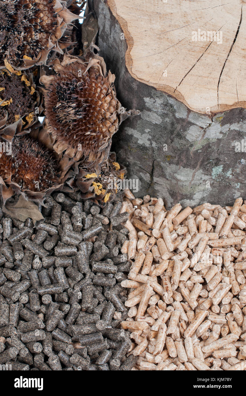 Two kind of pellets and materials they made of Stock Photo - Alamy