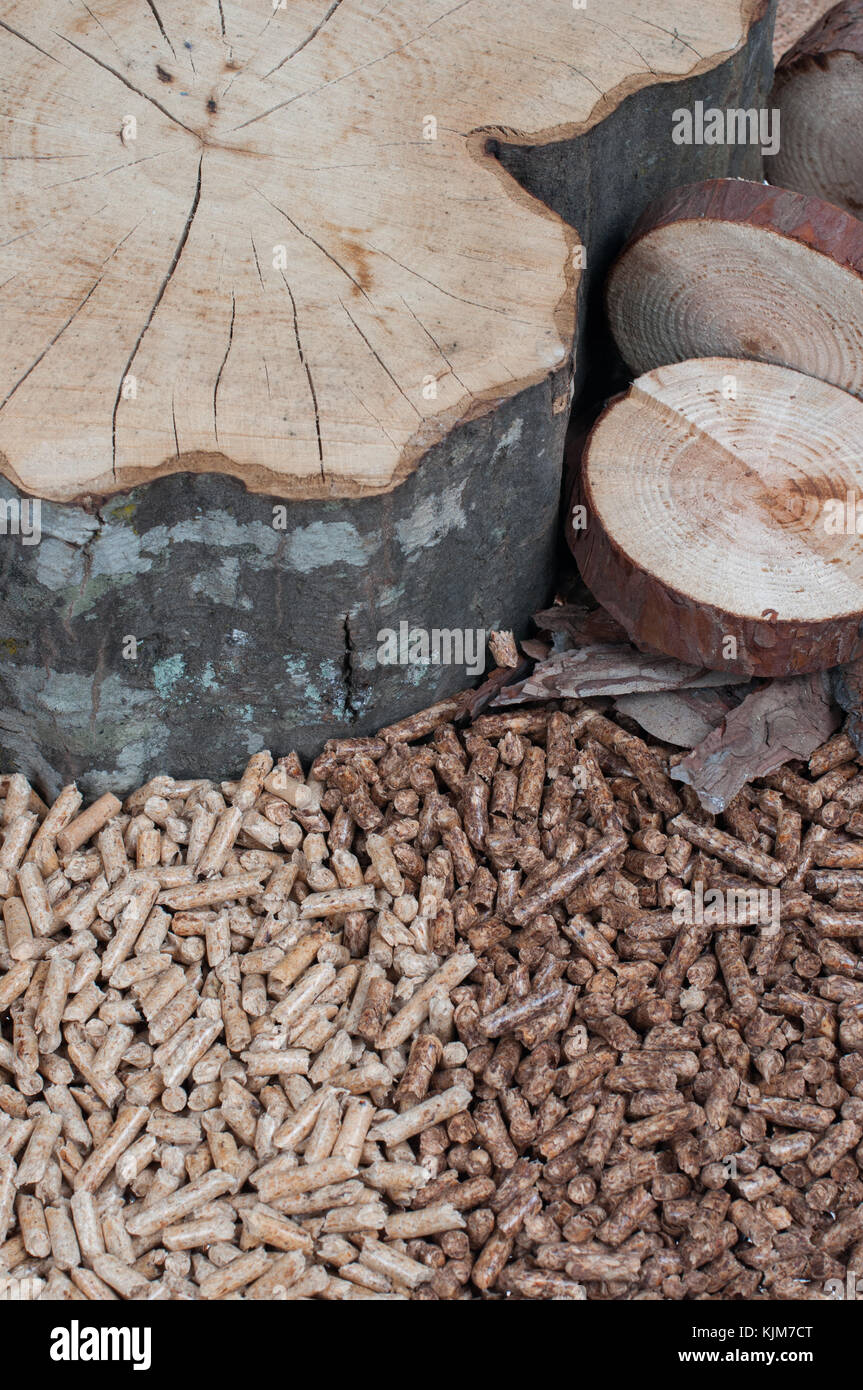 Oak and pine pellets - renewable biomass Stock Photo - Alamy