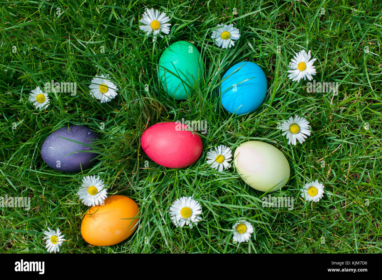 Outdoor easter egg hunt hi-res stock photography and images - Alamy