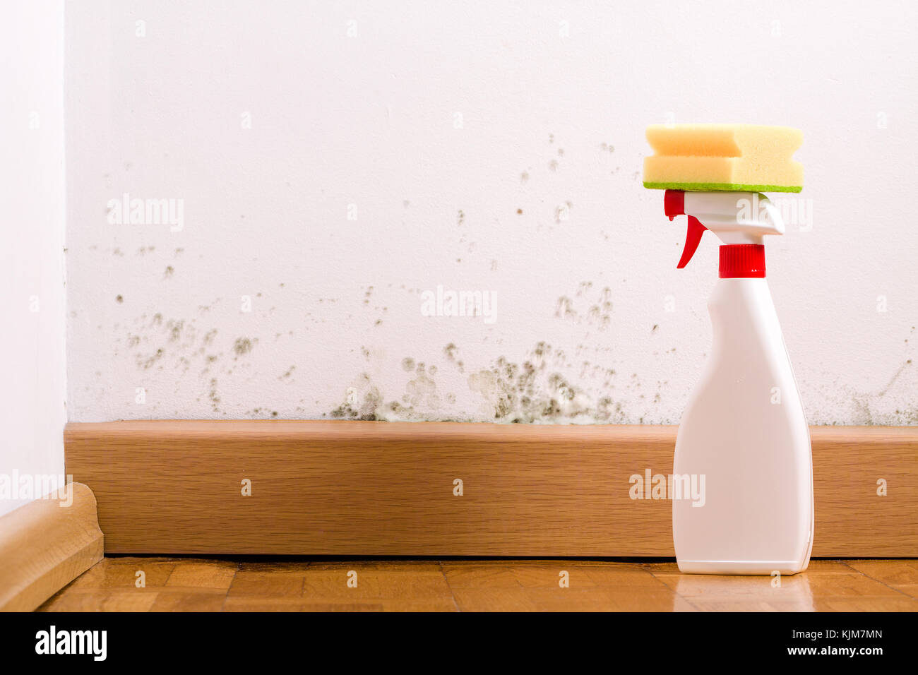 Spray to remove mould on the wall in house. Remove the mold problem ...