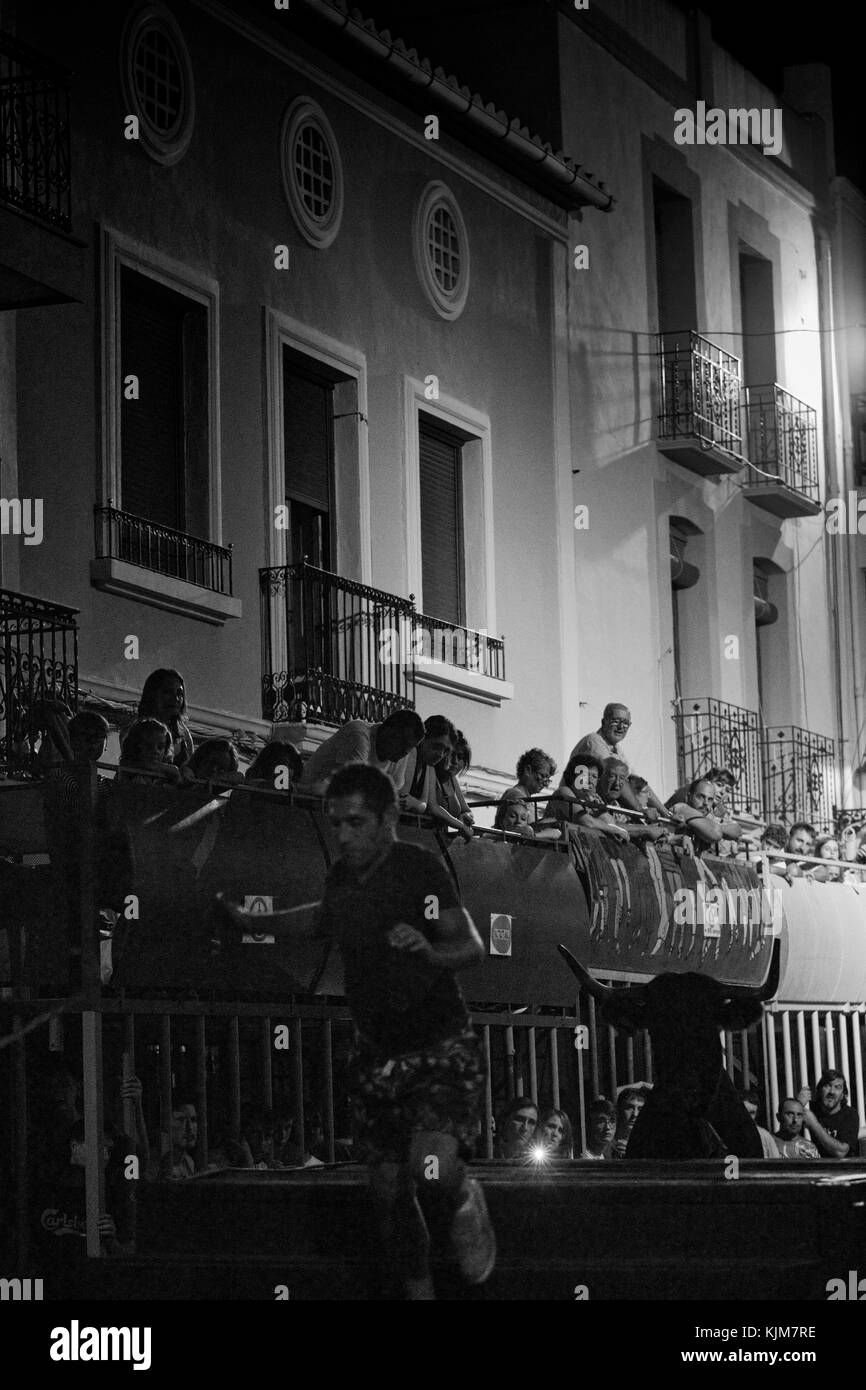 Crazy bull hi-res stock photography and images - Alamy