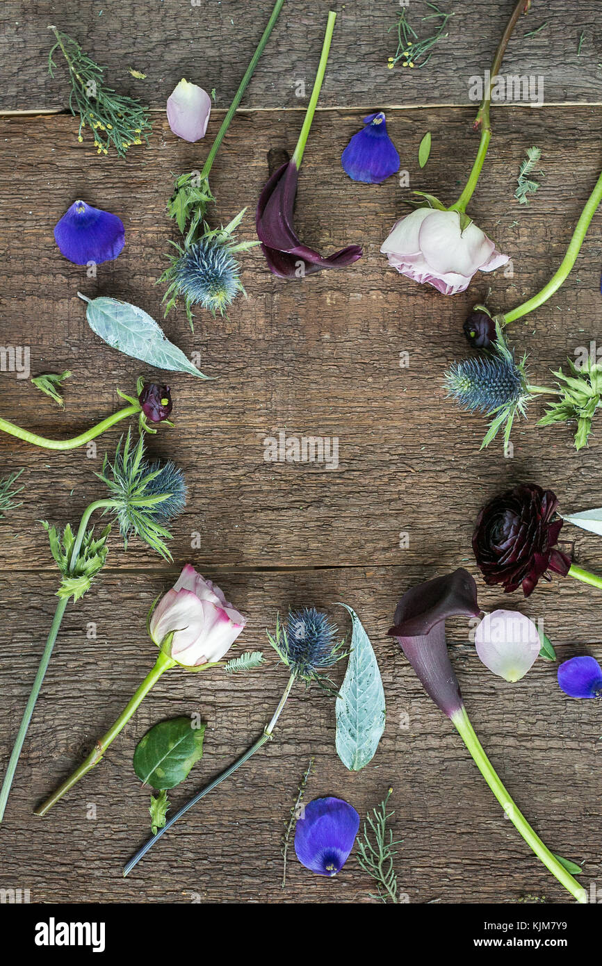 background, interior, nature concept. marvelous flowers with buds of ...