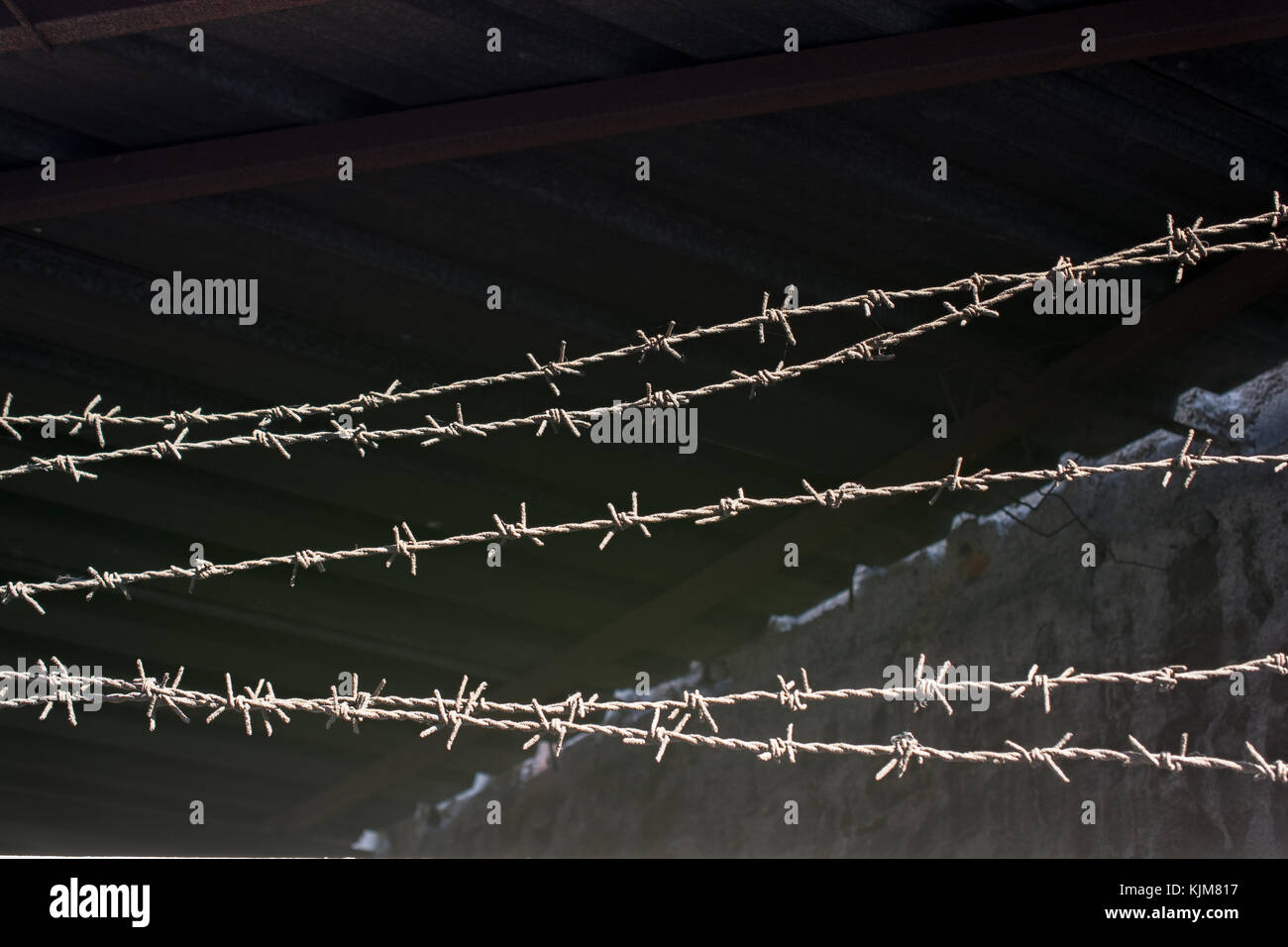 barbed wire fence used for protection purposes Stock Photo - Alamy