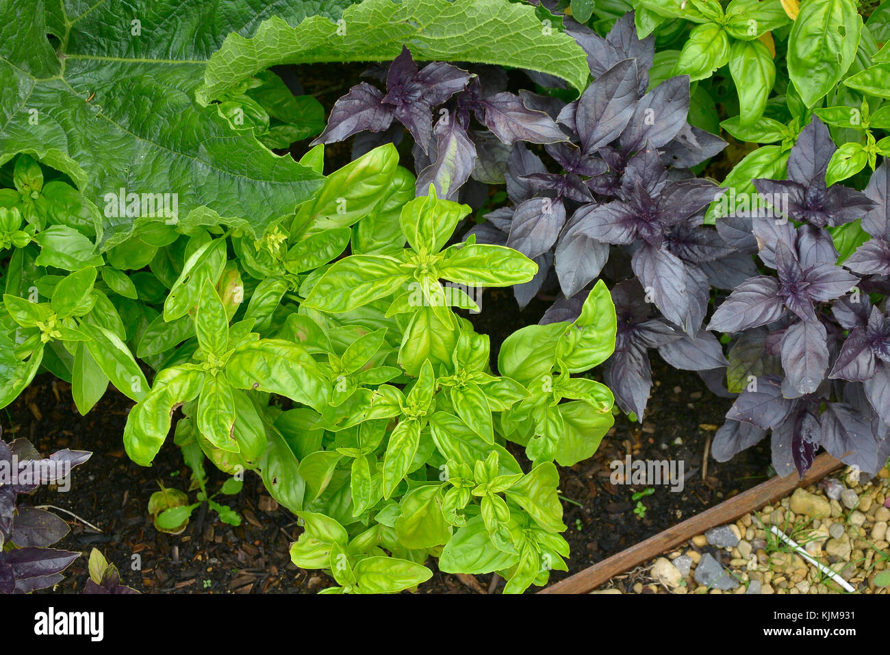 Types of gardens hi-res stock photography and images - Alamy