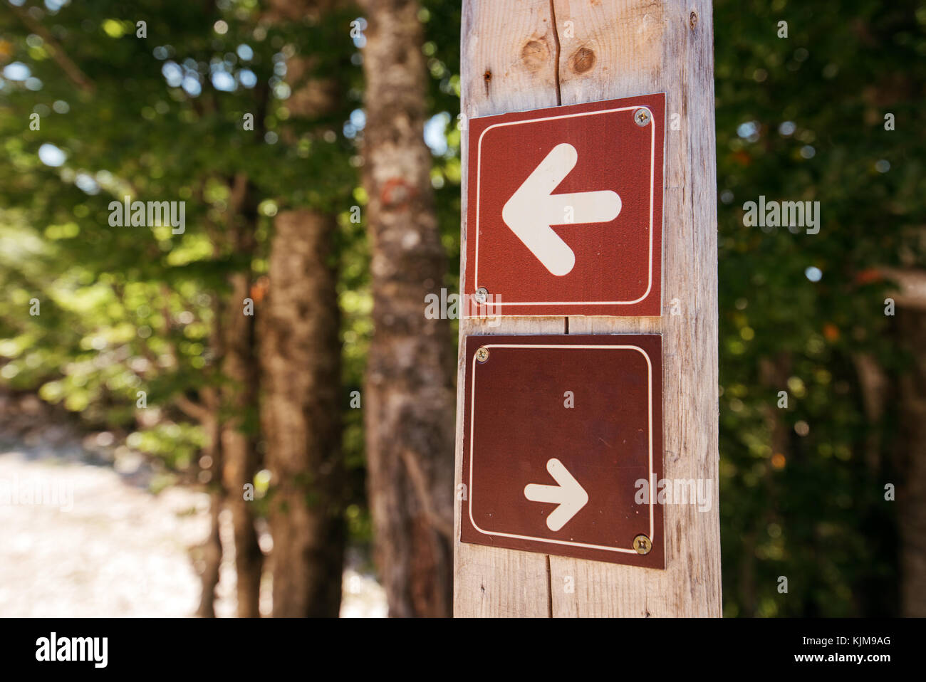 Forest hiking trail direction arrow signs as guide for people enjoying ...