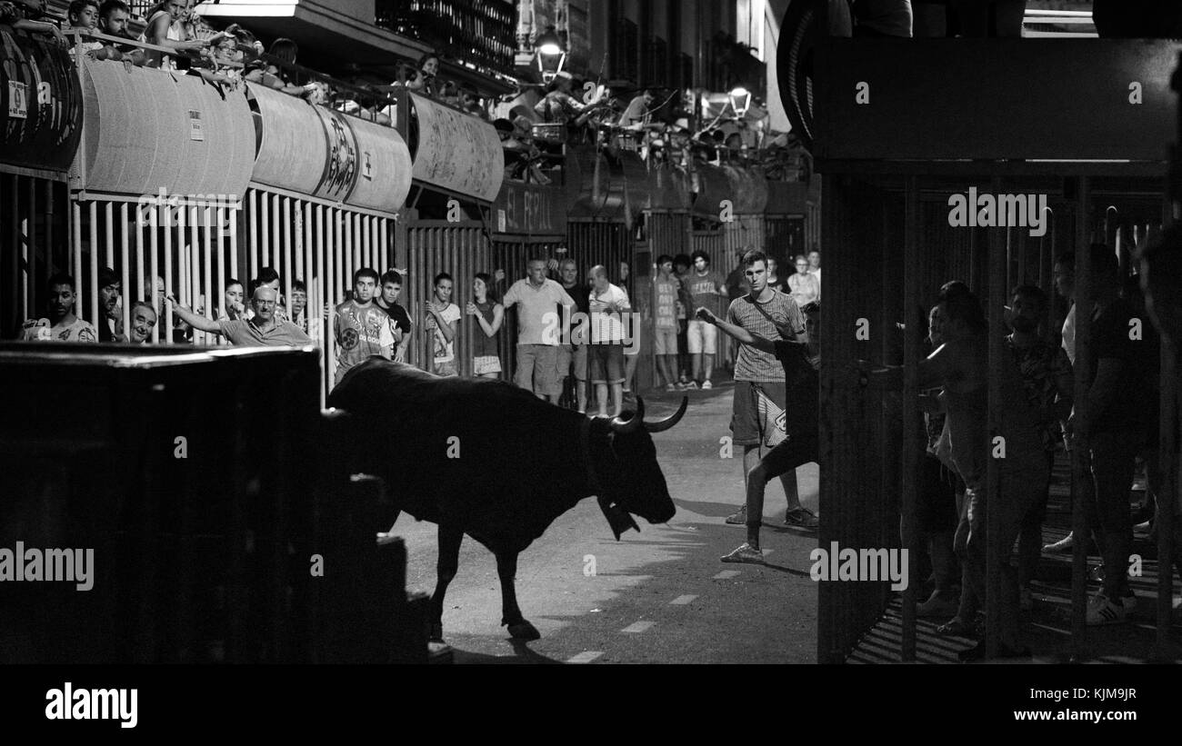 Charging bull black and white hi-res stock photography and images - Alamy