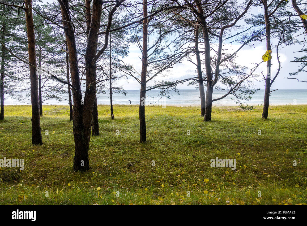 The seaside resort of Binz in winter, Germany Stock Photo - Alamy