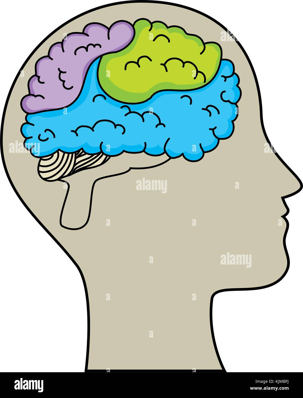 human profile with brain vector illustration design Stock Vector Image ...