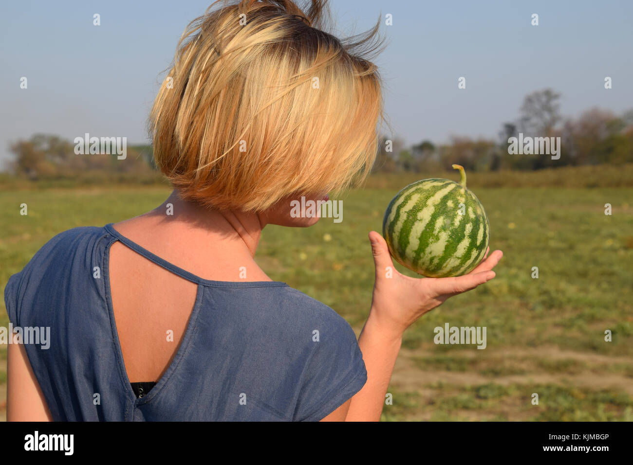 Fruitsplash hi-res stock photography and images - Alamy