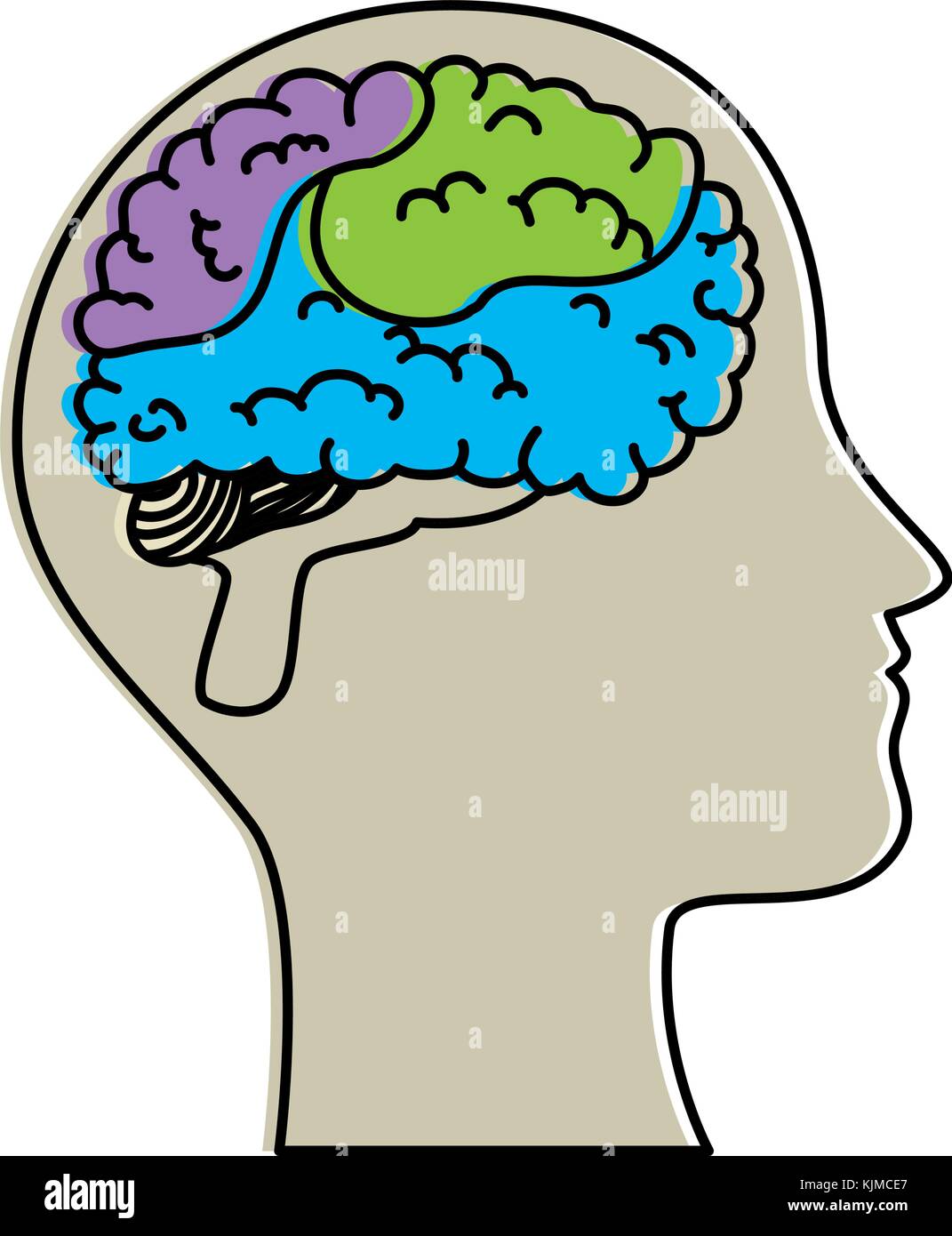 human profile with brain vector illustration design Stock Vector Image ...