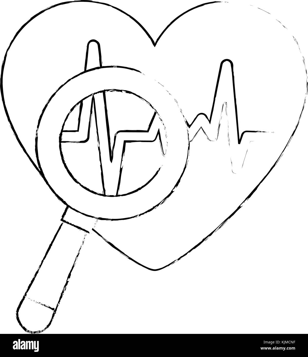 heart cardiology with magnifying glass vector illustration design Stock ...