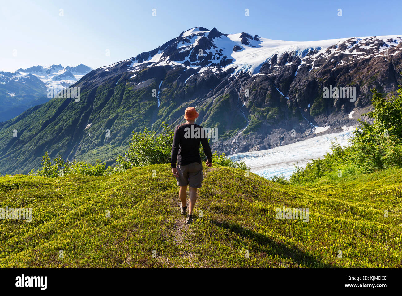 Hiker in Exit Glacier, Kenai Fjords National Park, Seward, Alaska Stock ...