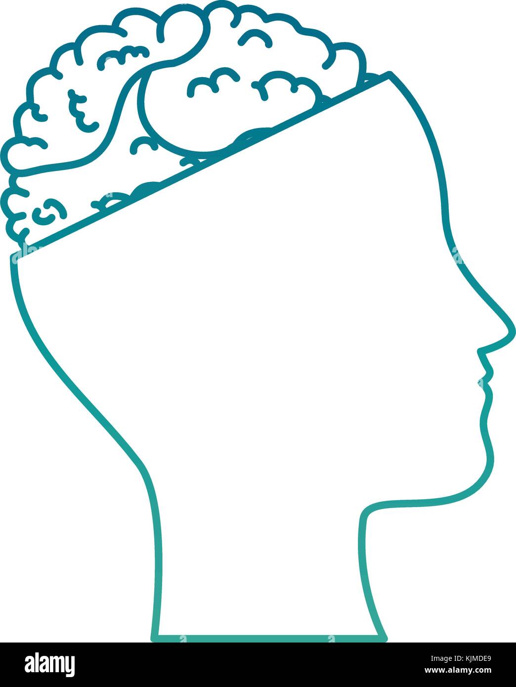 human profile with brain vector illustration design Stock Vector Image ...