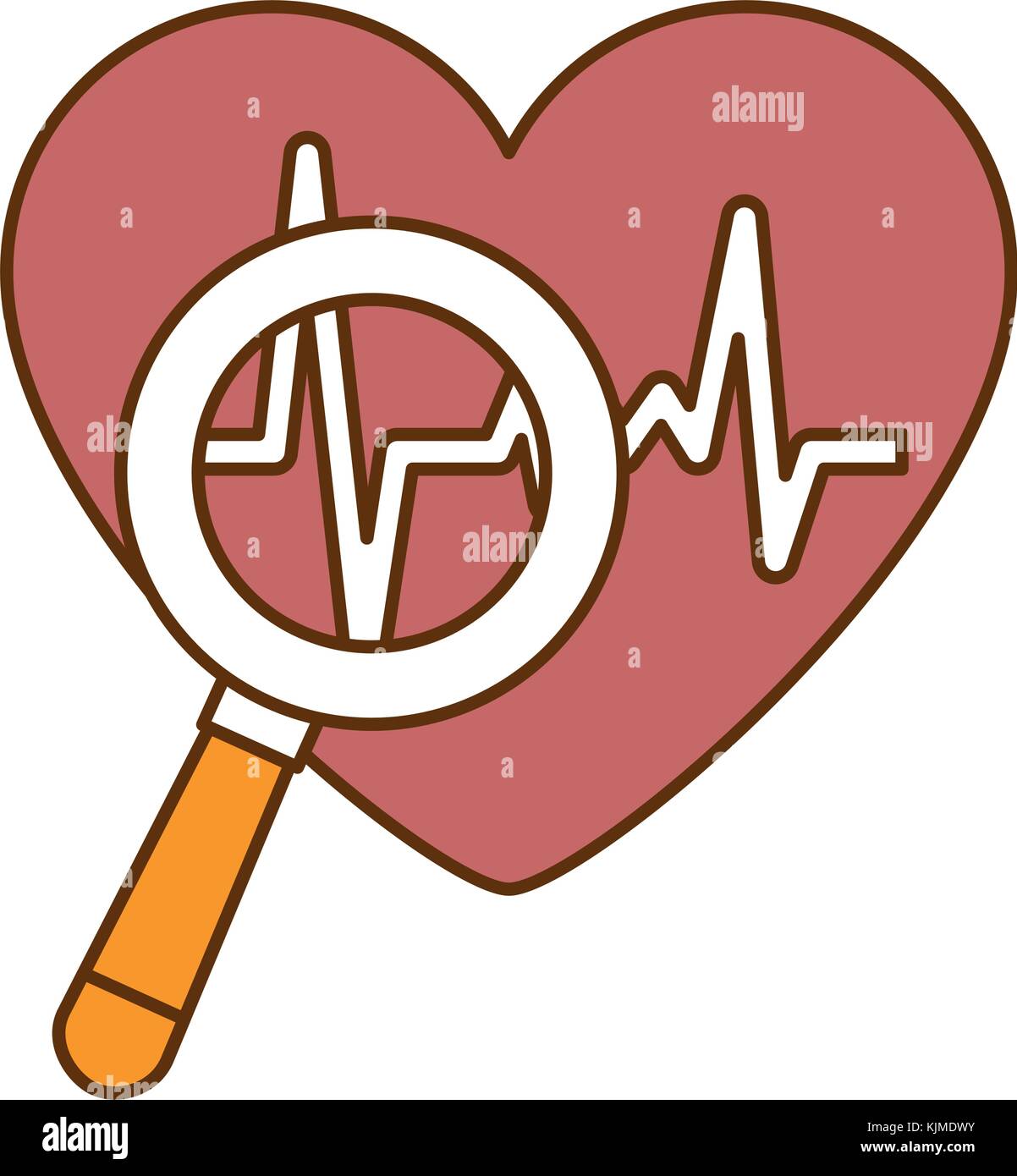 heart cardiology with magnifying glass vector illustration design Stock ...