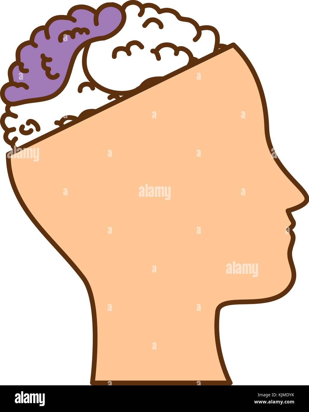 human profile with brain vector illustration design Stock Vector Image ...