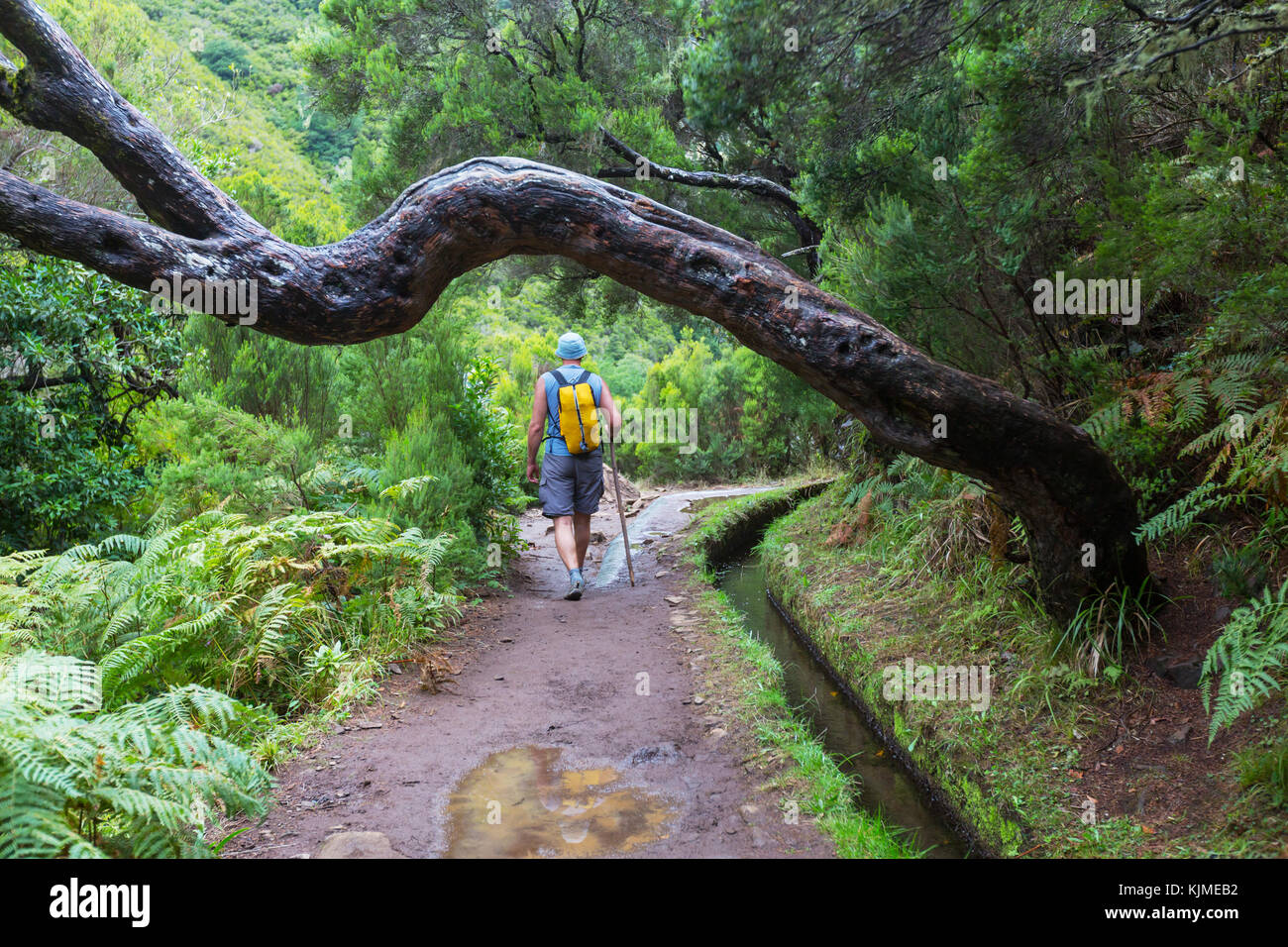 Hike in Madeira Stock Photo - Alamy
