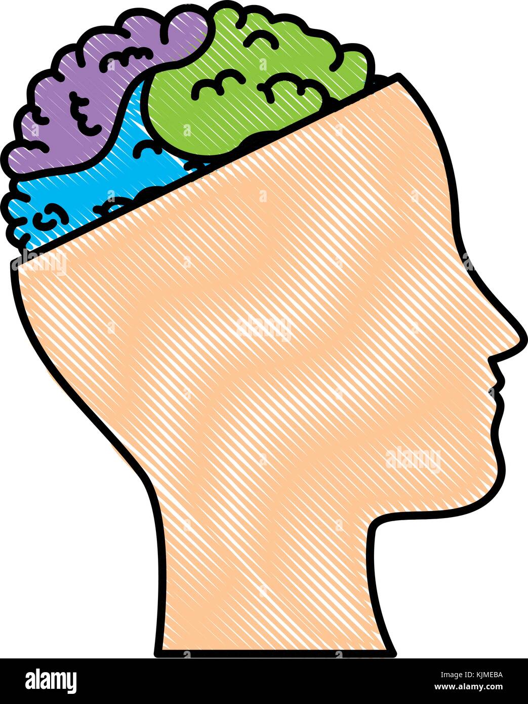 human profile with brain vector illustration design Stock Vector Image ...