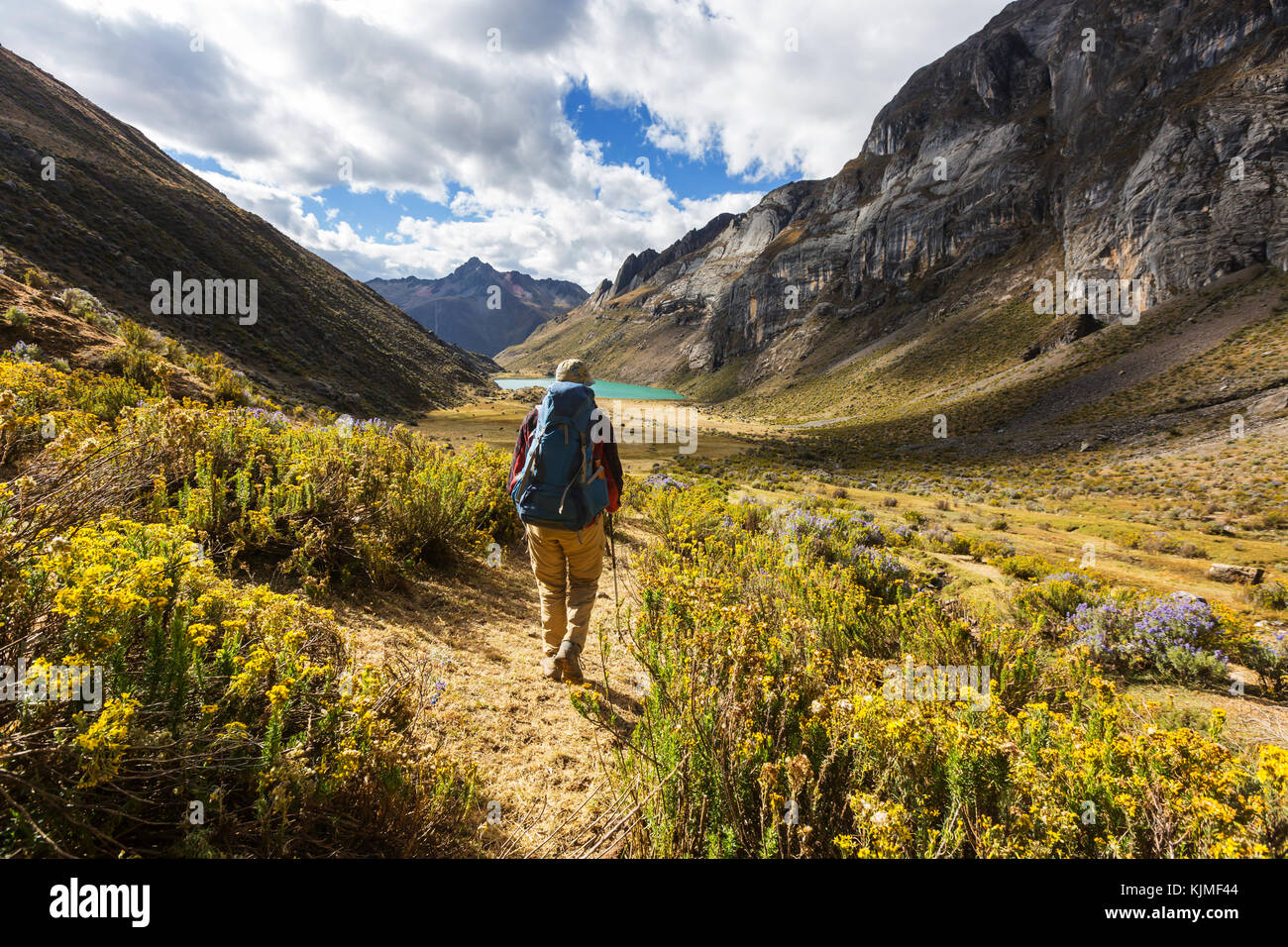 Hiking scene in Cordillera mountains, Peru Stock Photo - Alamy