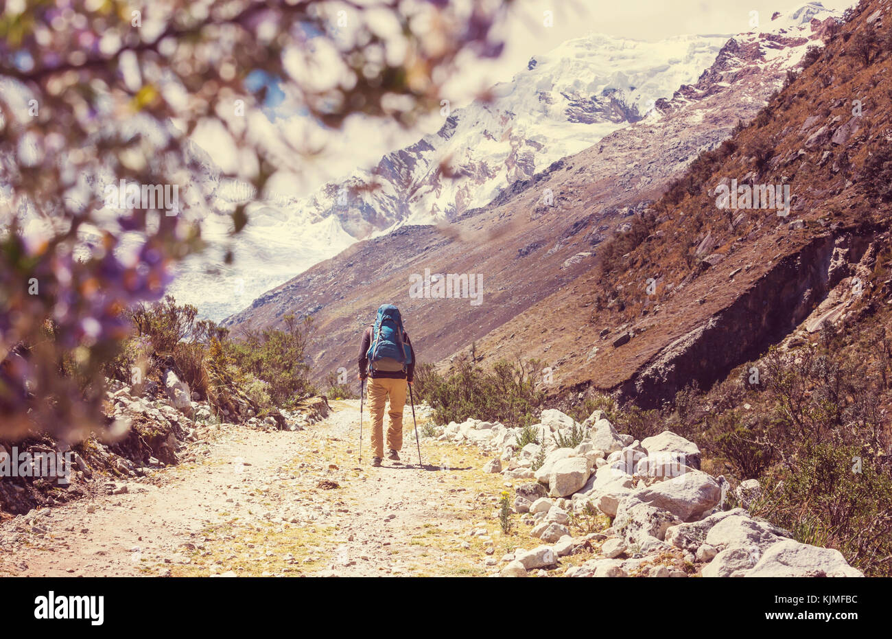 Hiking scene in Cordillera mountains, Peru Stock Photo - Alamy