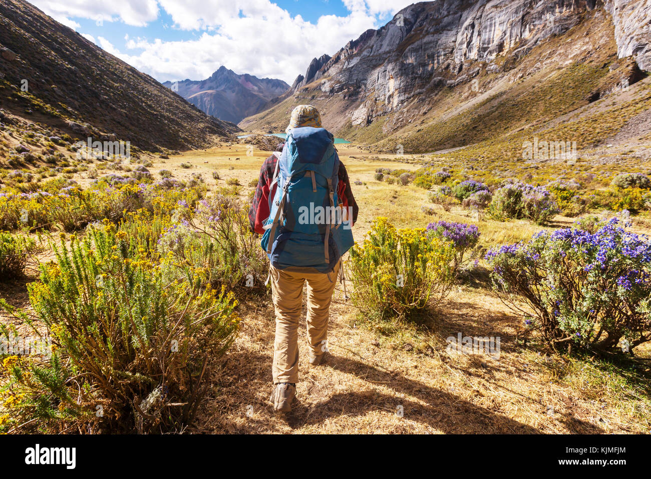 Hiking scene in Cordillera mountains, Peru Stock Photo - Alamy