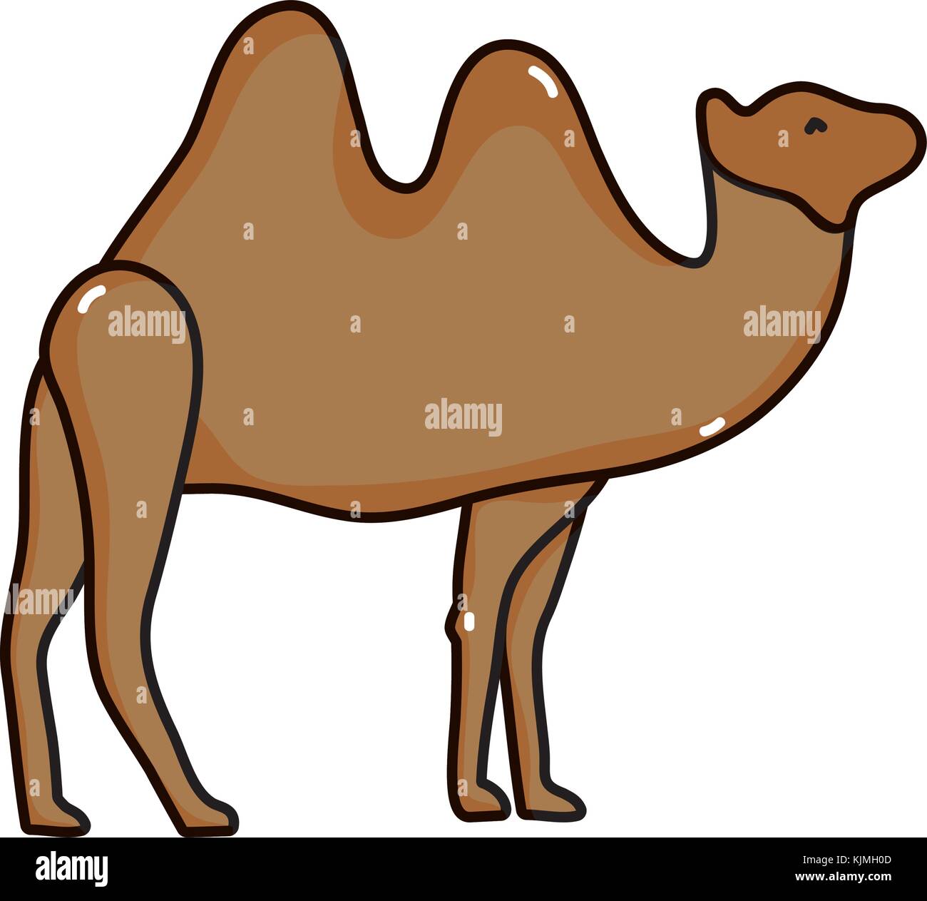 Isolated camel design Stock Vector Image & Art - Alamy