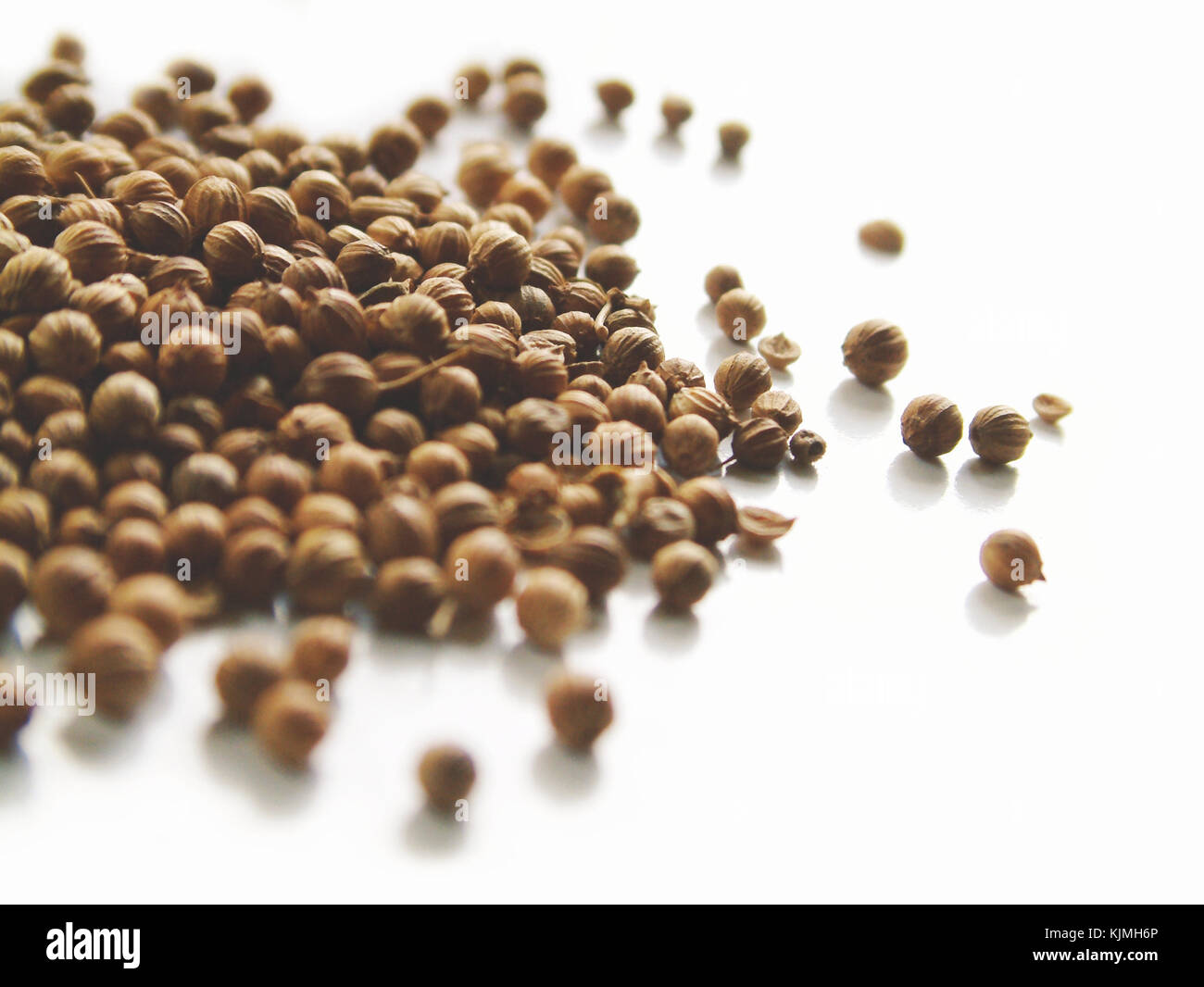 Corriander leaves hi-res stock photography and images - Alamy