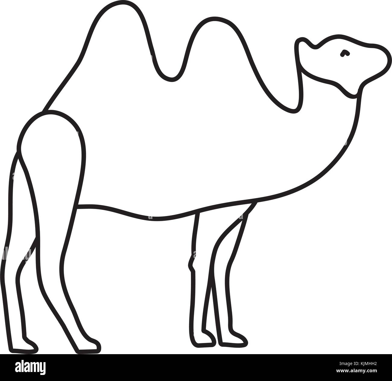 Isolated camel design Stock Vector Image & Art - Alamy