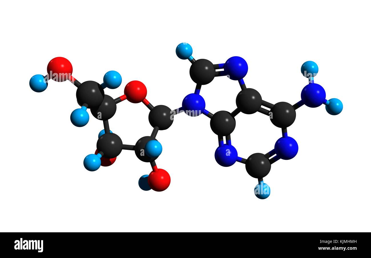 Purine nucleoside molecule hi-res stock photography and images - Alamy