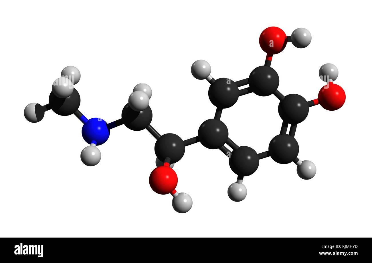 Adrenaline Molecule Stock Photos & Adrenaline Molecule Stock Images - Alamy