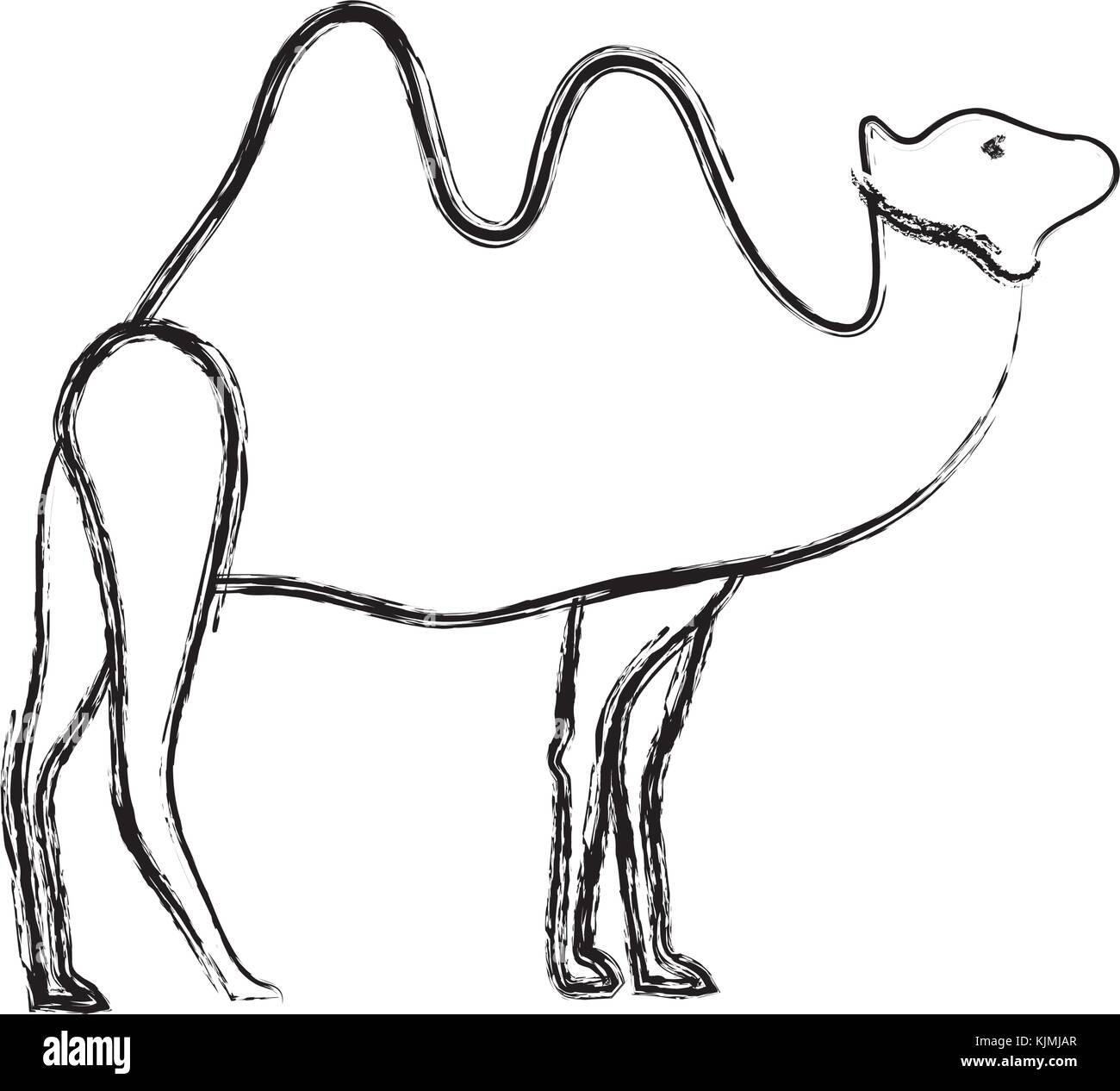 Isolated camel design Stock Vector Image & Art - Alamy