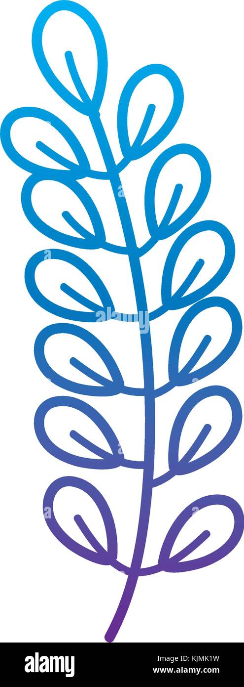 Isolated leaf design Stock Vector Image & Art - Alamy