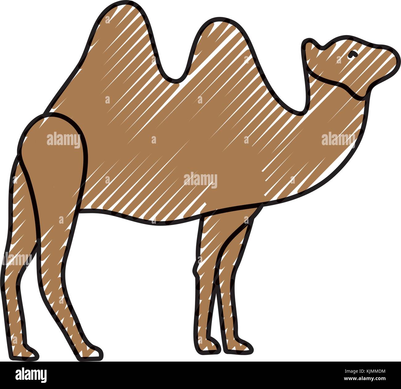 Camel conservation Stock Vector Images - Alamy