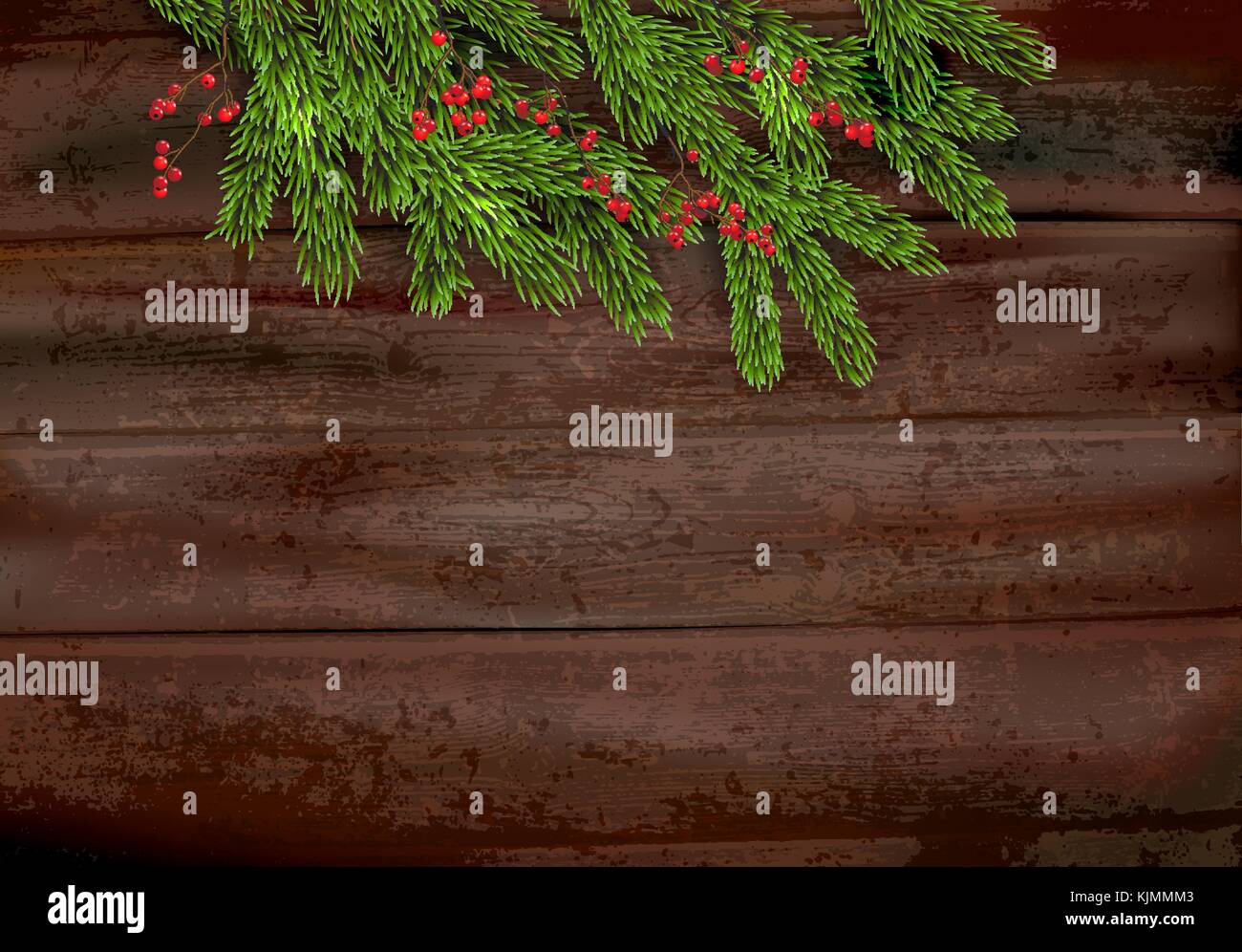 Fir tree and berries on dark Stock Vector Image & Art - Alamy