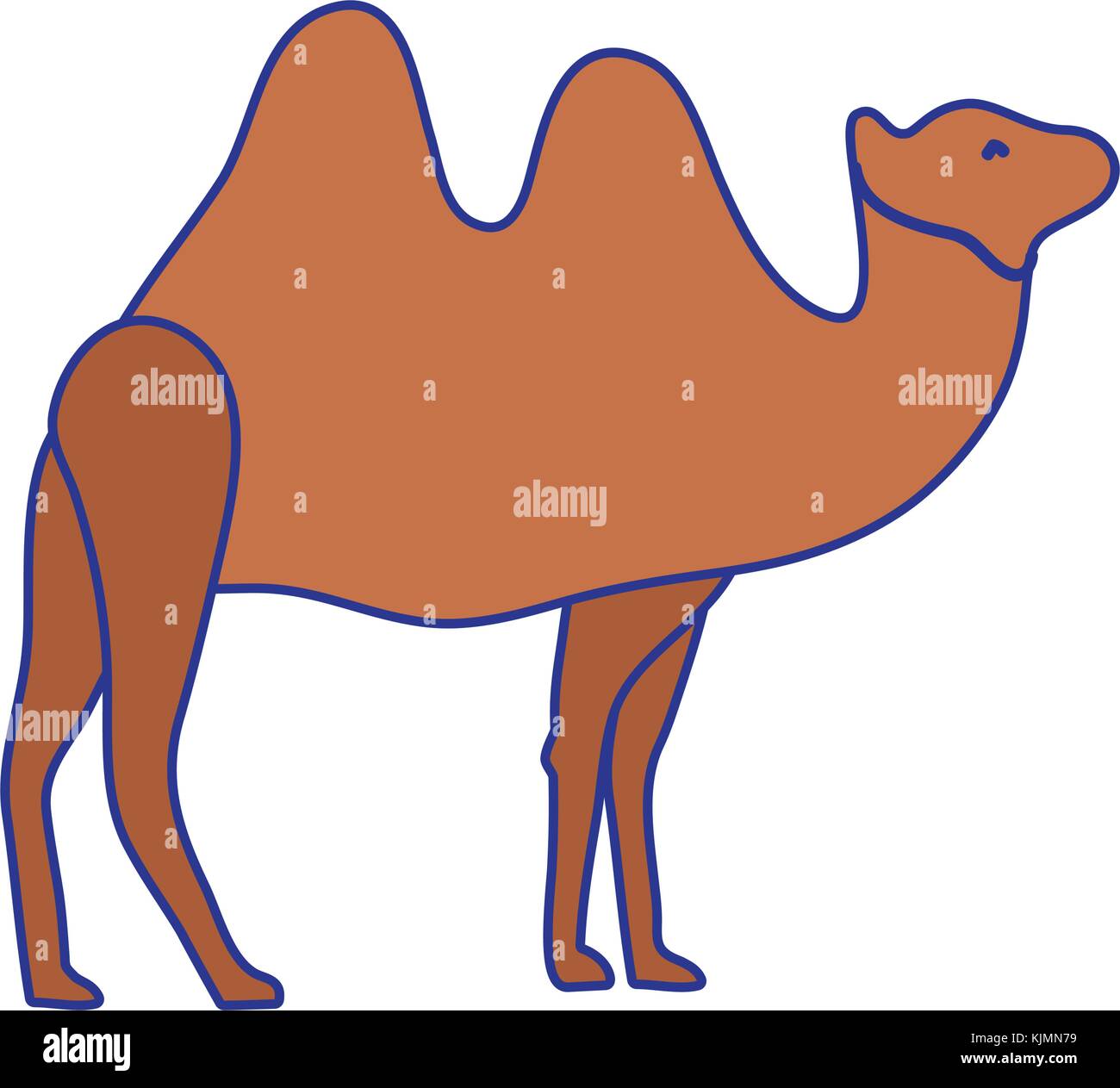 Isolated camel design Stock Vector Image & Art - Alamy