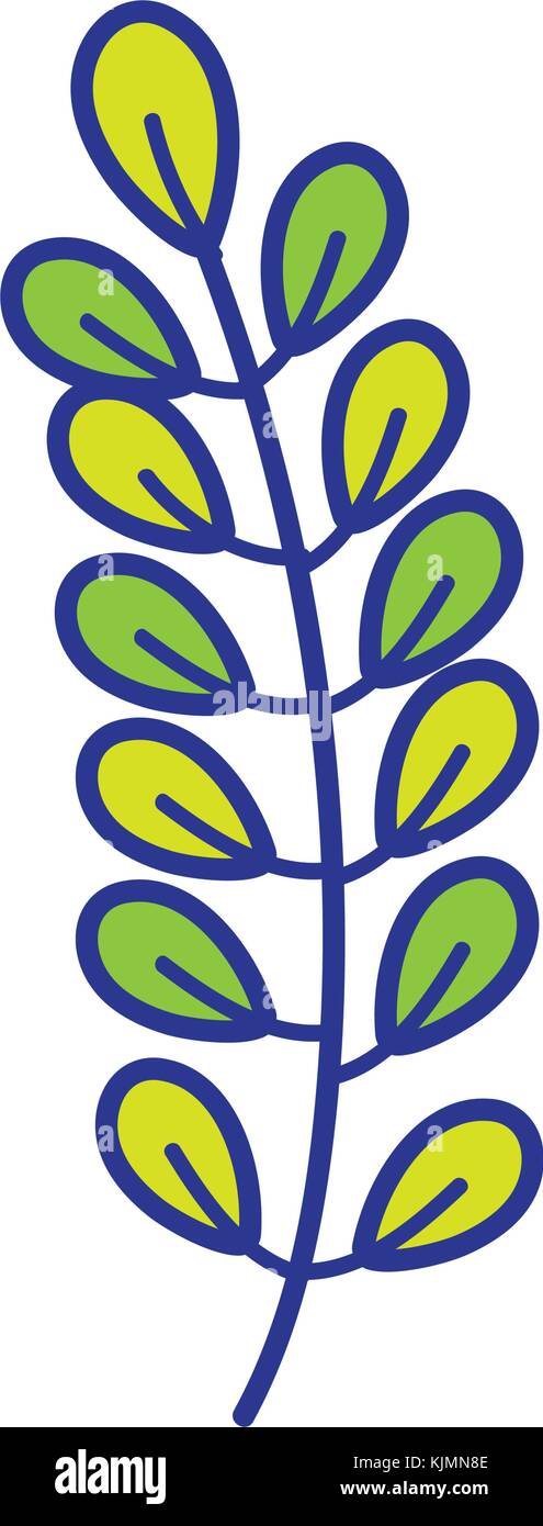 Isolated leaf design Stock Vector Image & Art - Alamy