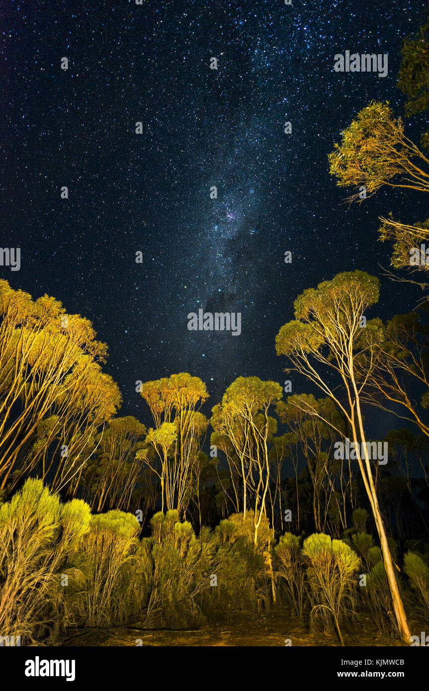 Australia outback night sky hi-res stock photography and images - Alamy