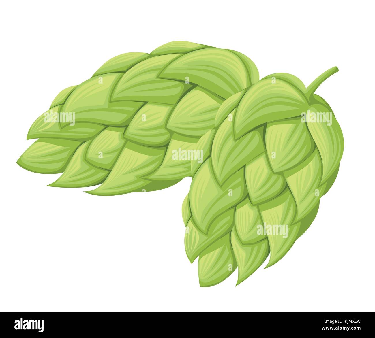 Vector hop cone isolated on white background.Visual graphic icons or ...