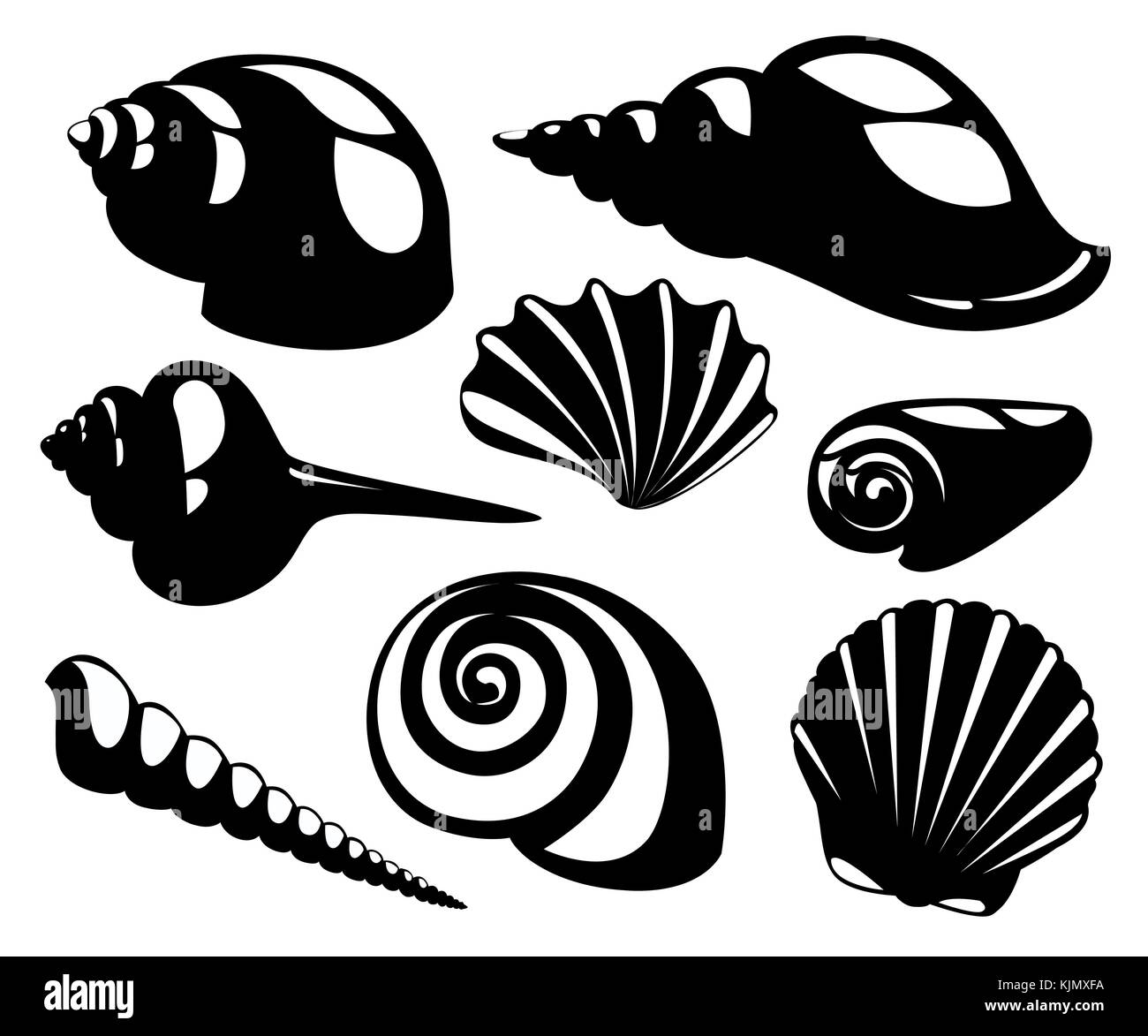 Clam vector vectors Black and White Stock Photos & Images - Alamy