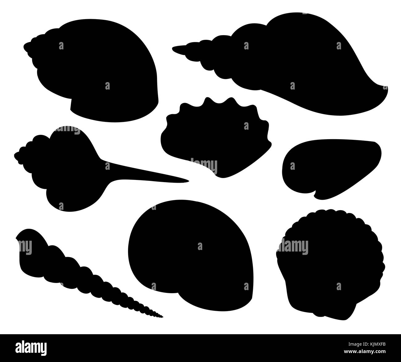 Scallop shell fossil Cut Out Stock Images & Pictures - Alamy